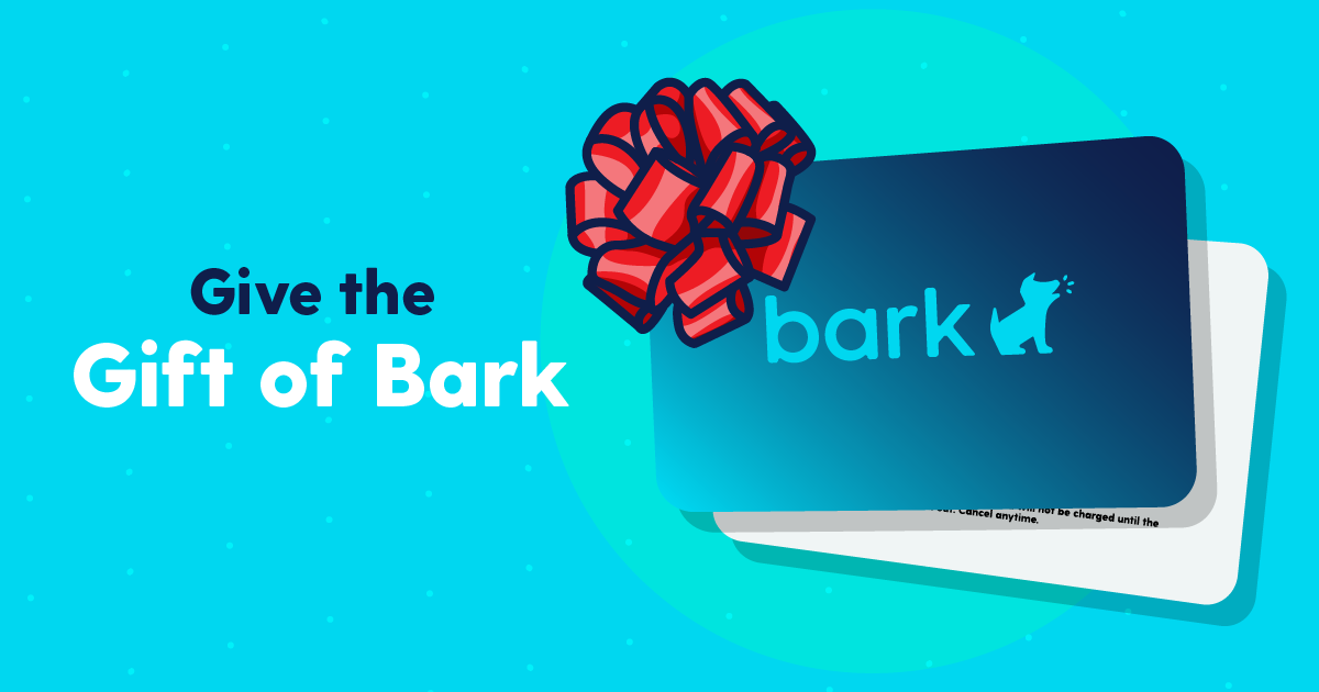 Give the Gift of Bark This Holiday Season With Amazon Gift Cards - Bark